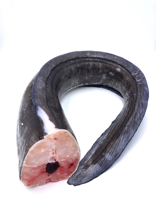 Congrio fresco - Comprar congrio fresco online