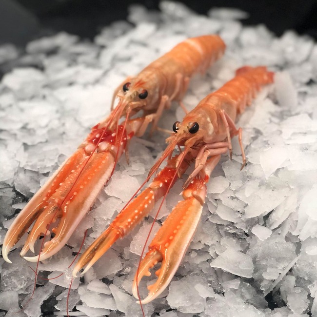 Caja de cigala nº0 - Comprar caja de cigala nº0 online